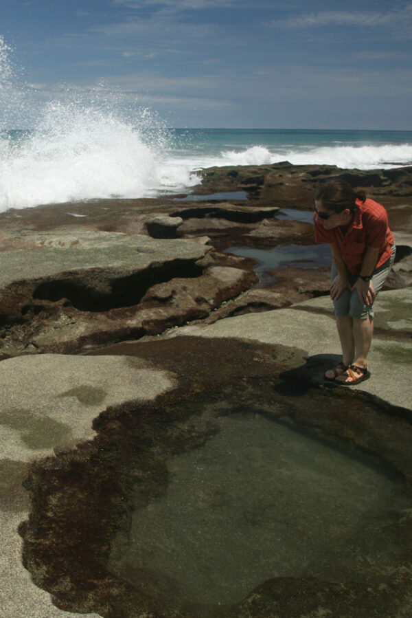 The Beach Trail, Tidal Pools, And Lagoon » El Remanso Lodge