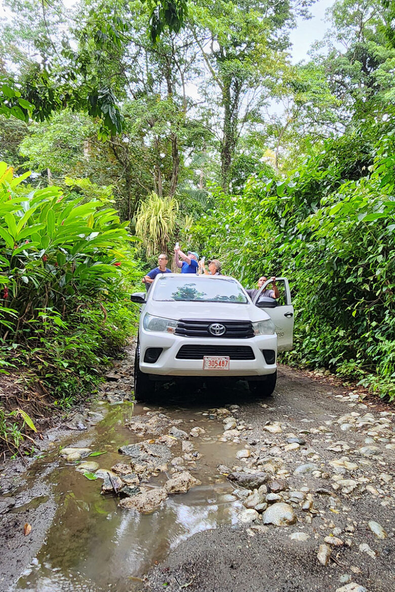 The Matapalo Tour - El Remanso Lodge