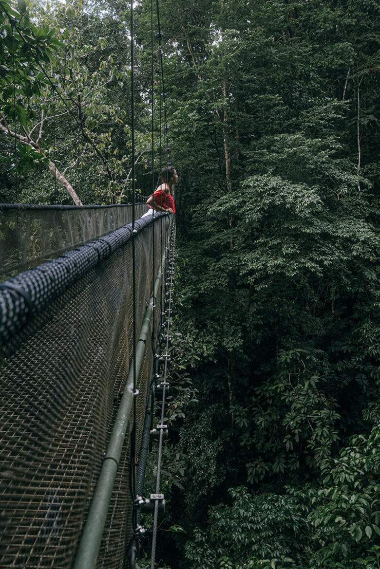 Suspension Bridges » El Remanso Lodge