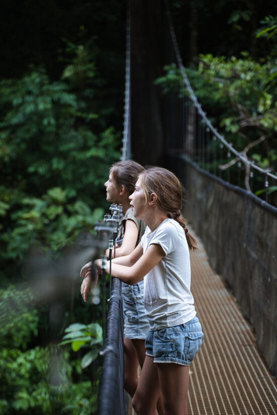 Suspension Bridges » El Remanso Lodge