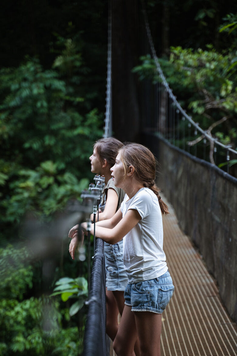 Suspension Bridges » El Remanso Lodge